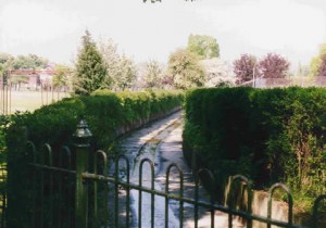 The River Quaggy | Quaggy Waterways Action Group
