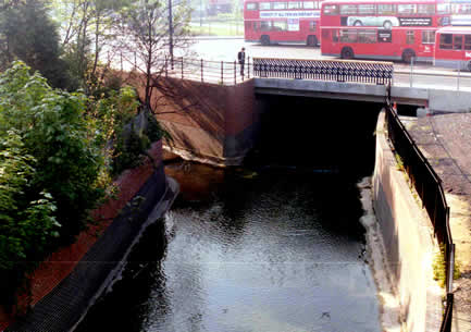The River Quaggy | Quaggy Waterways Action Group