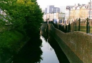 The River Quaggy | Quaggy Waterways Action Group