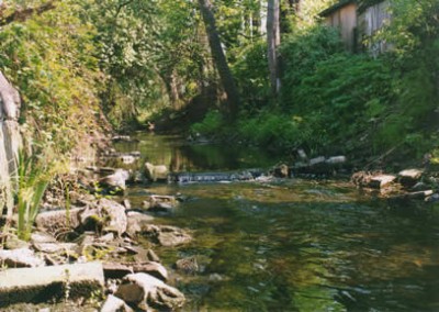 The River Quaggy | Quaggy Waterways Action Group