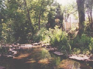 The River Quaggy | Quaggy Waterways Action Group