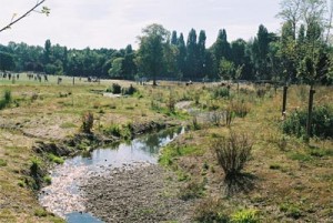 The River Quaggy | Quaggy Waterways Action Group