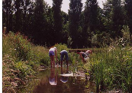 The River Quaggy | Quaggy Waterways Action Group