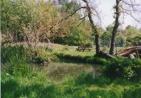 The River Quaggy | Quaggy Waterways Action Group