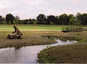The River Quaggy | Quaggy Waterways Action Group