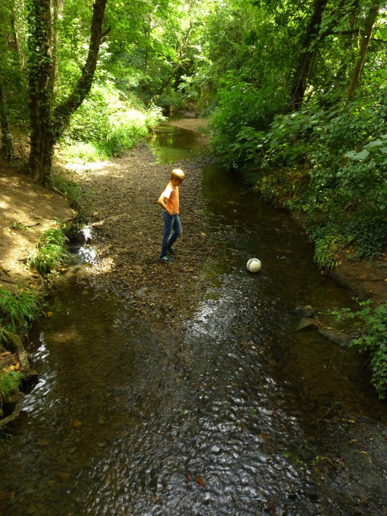 To the source of the Quaggy | Quaggy Waterways Action Group